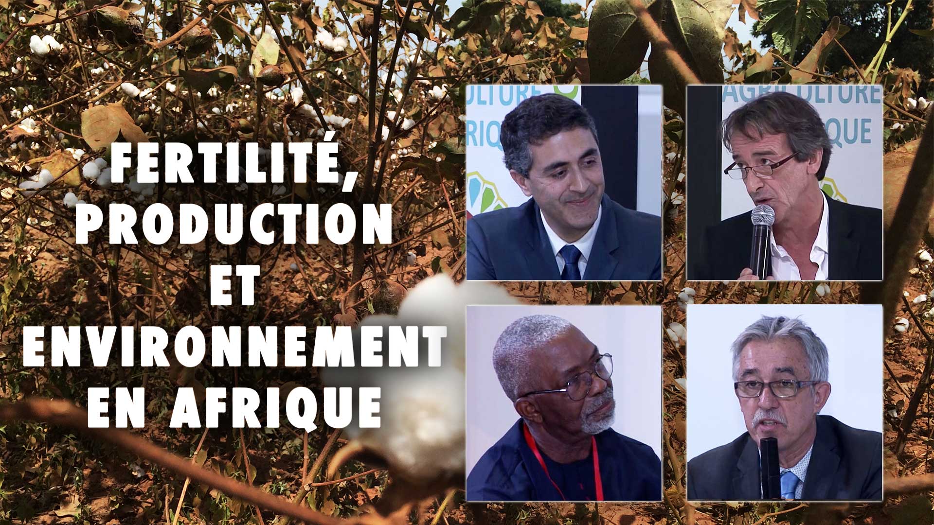 Fertilité, production et éco-environnement en Afrique - L'Esprit Sorcier
